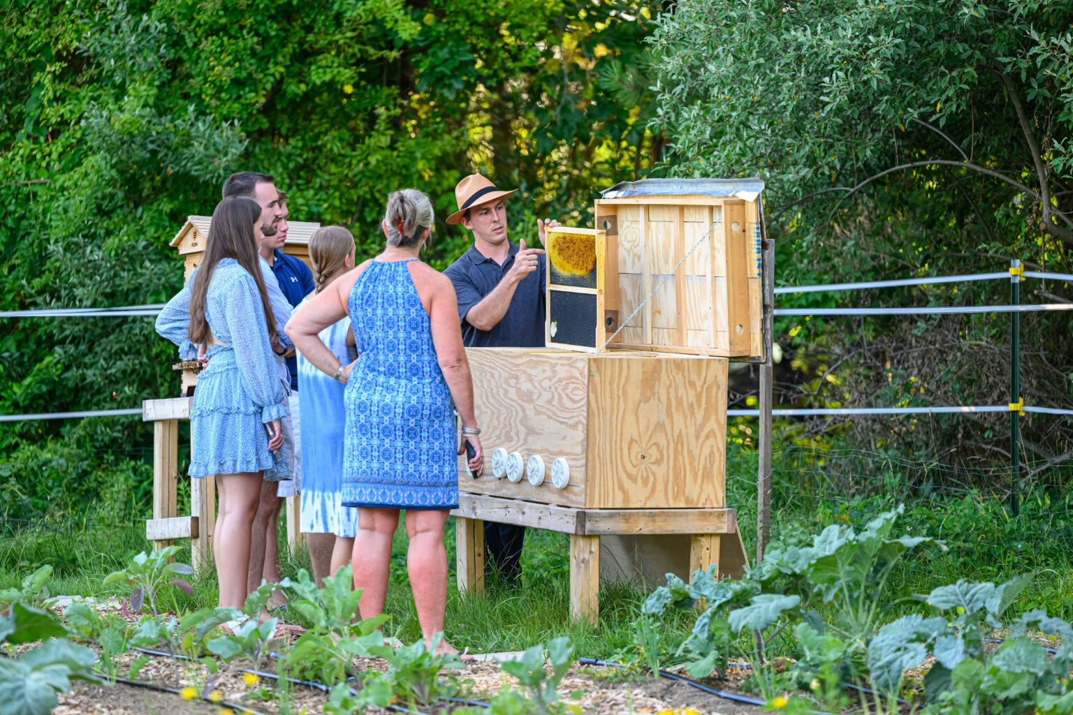 How & Why We Farm - Dandelion Forest Farm