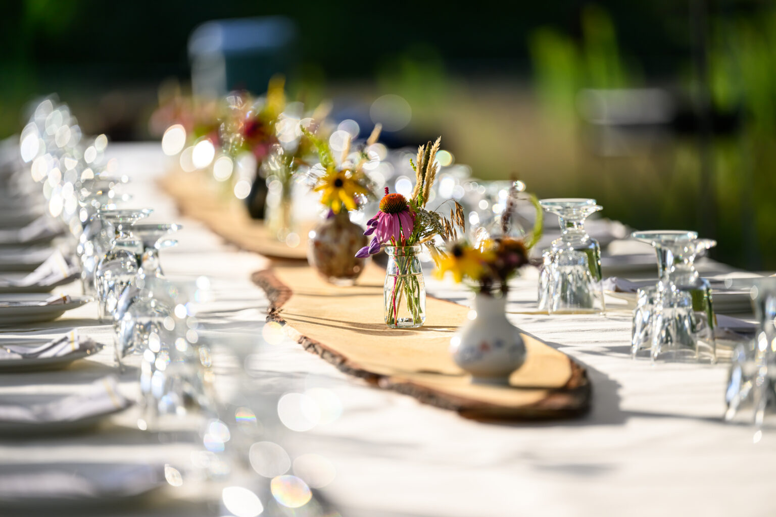 Dandelion Forest Farm - Grow what grows best!